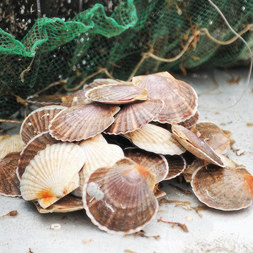 Our Hatchery & Farm - Baffin Bay Seafood